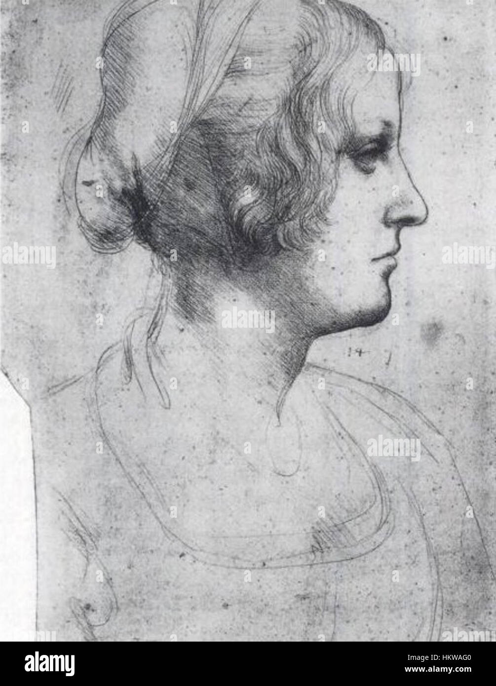 Gallerani hi-res stock photography and images - Alamy