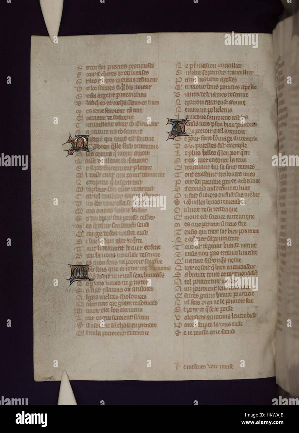 Romance of the rose manuscript hi-res stock photography and images - Alamy