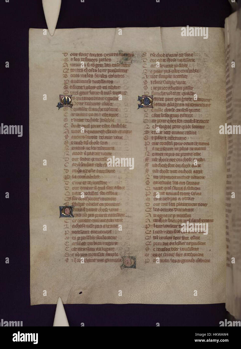 The manuscript 'Le Roman de la Rose,' housed in the Bodleian Libraries ...