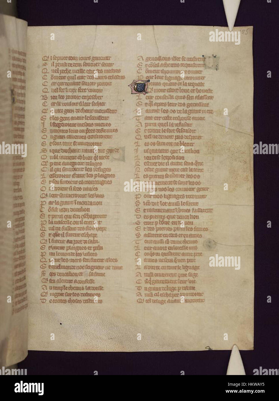 This manuscript page from *Le Roman de la Rose*, housed at the Bodleian ...