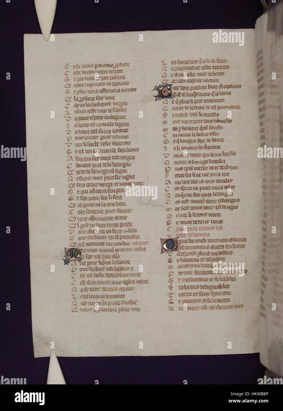 'Le Roman de la Rose 135v' is a manuscript held at the Bodleian ...