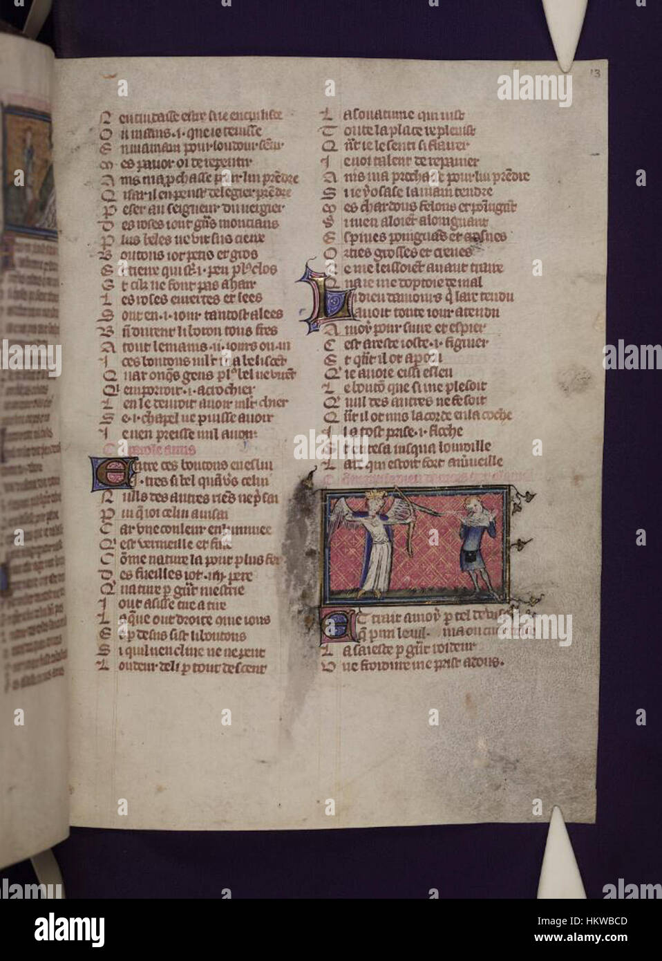 The illuminated manuscript 'Le Roman de la Rose' from the Bodleian ...