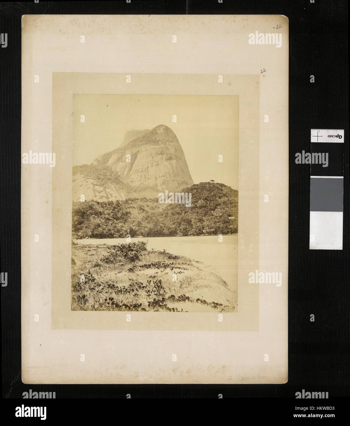 Artistic depiction birds native hi-res stock photography and images - Alamy