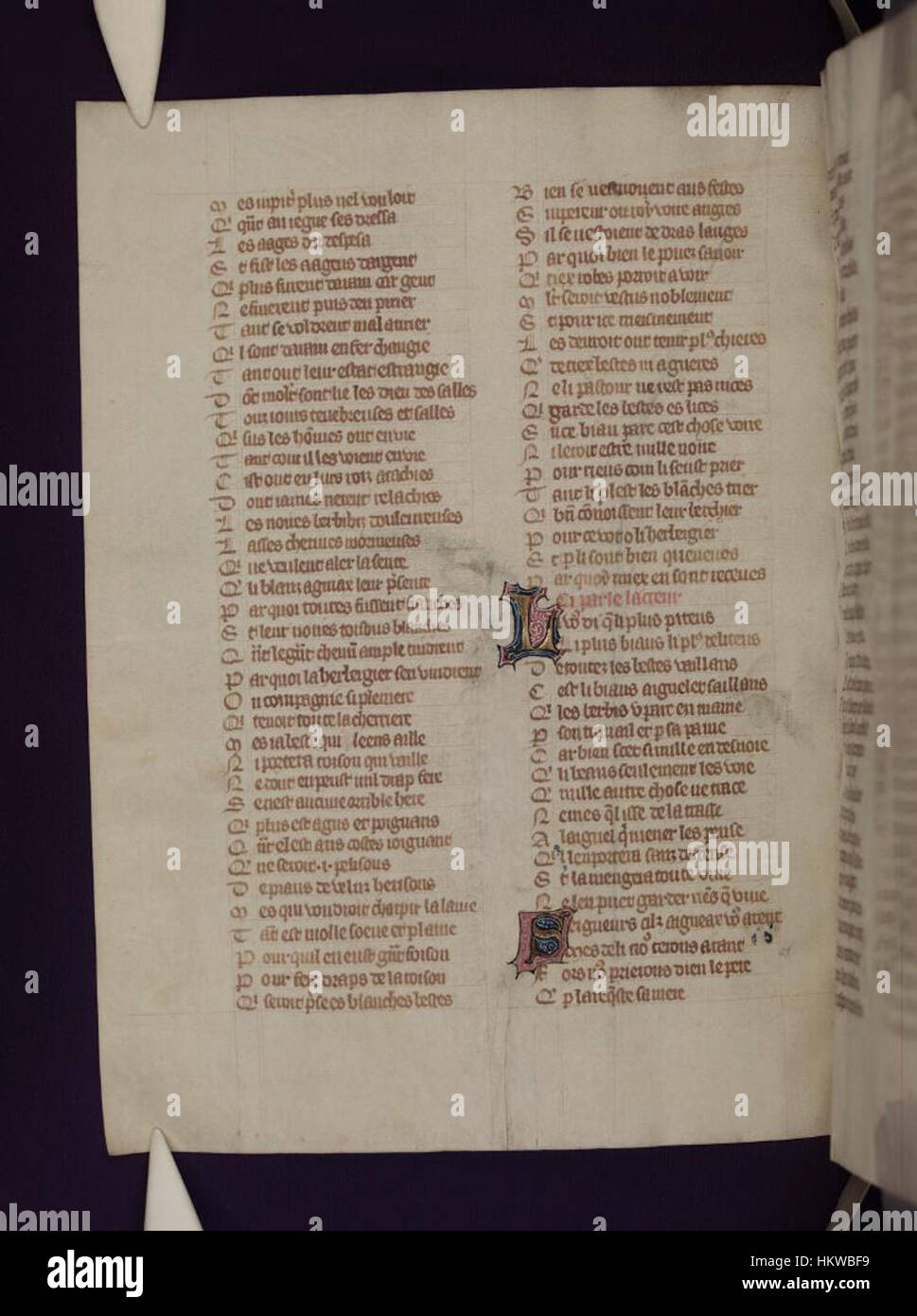 Middle of a rose hi-res stock photography and images - Alamy