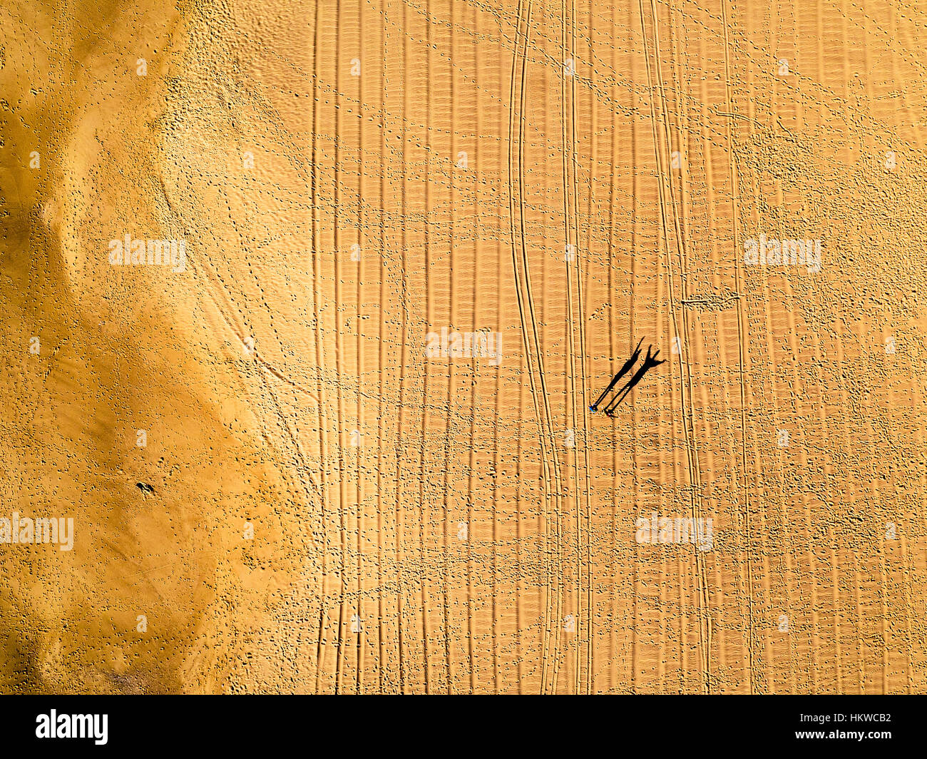 Long Shadows of the Late Afternoon Sun Two People on a Sandy Beach ...