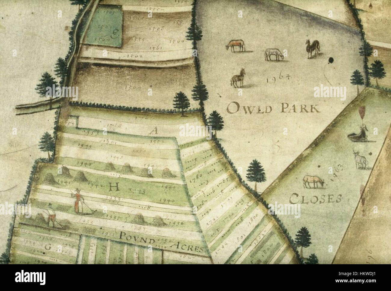 Bodleian Libraries, Map of Laxton- southwest corner Stock Photo - Alamy