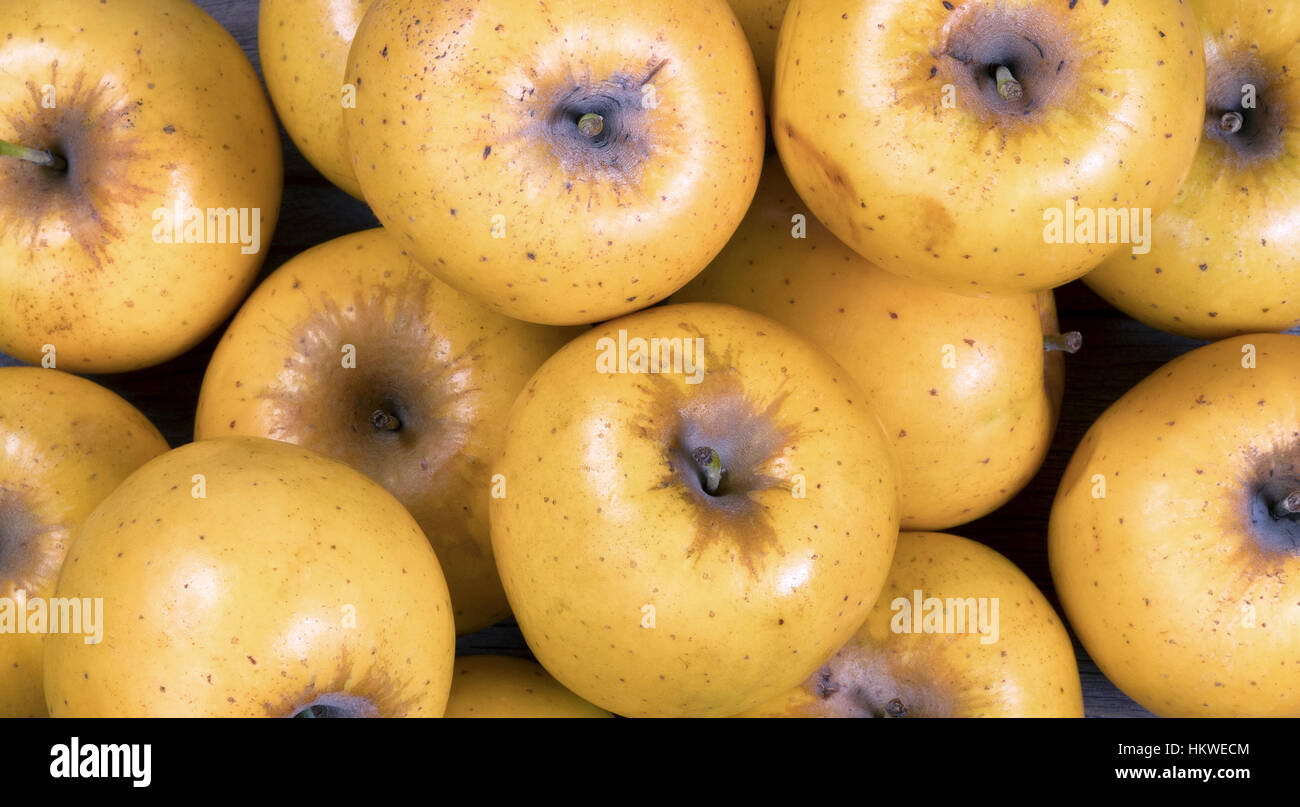 Golden apples in filled frame format Stock Photo - Alamy