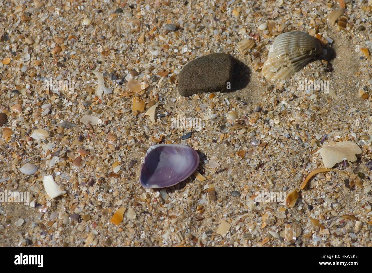 Australian beach hi-res stock photography and images - Alamy