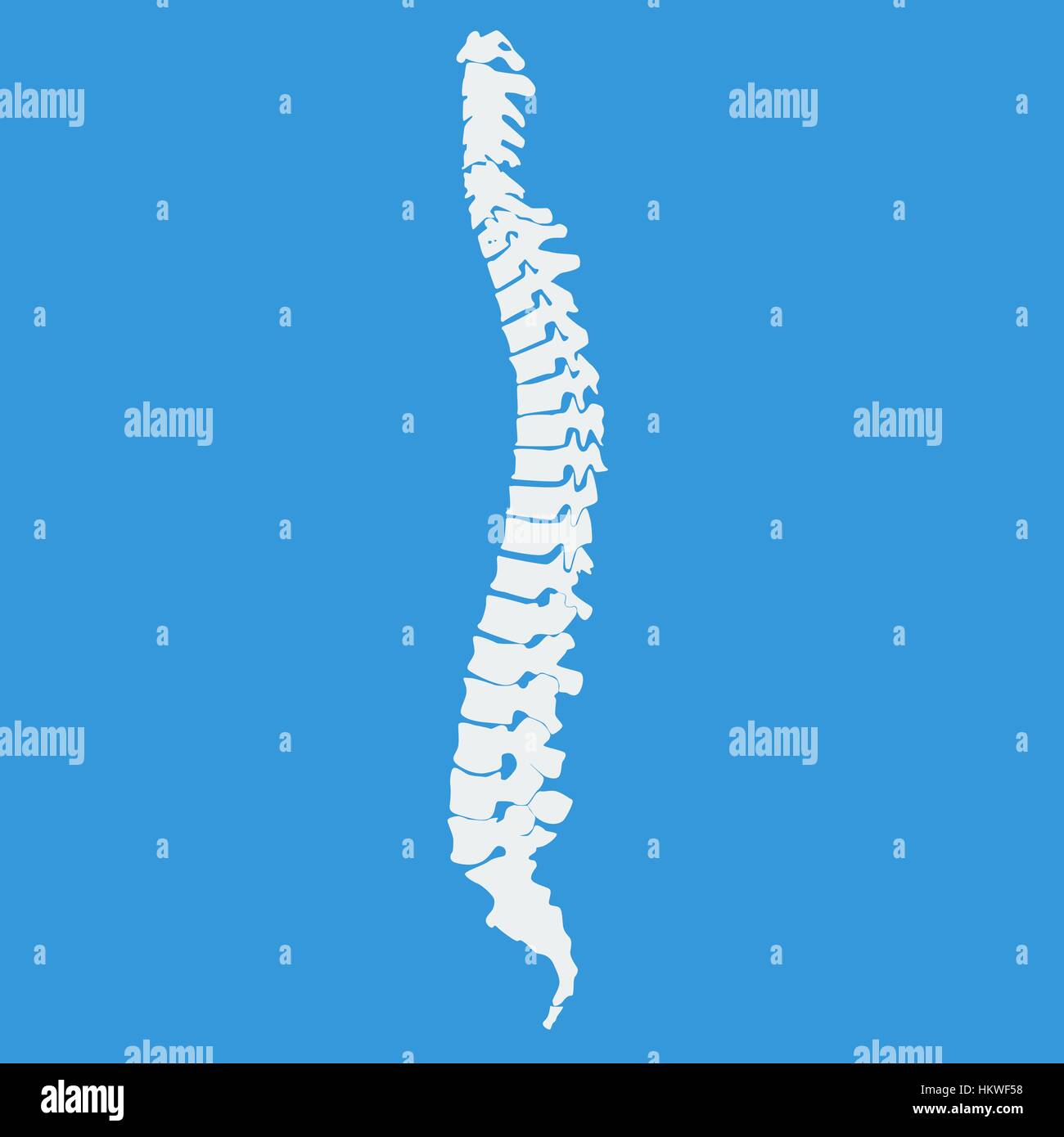 Vector illustration white spine diagnostic symbol, design, sign ...