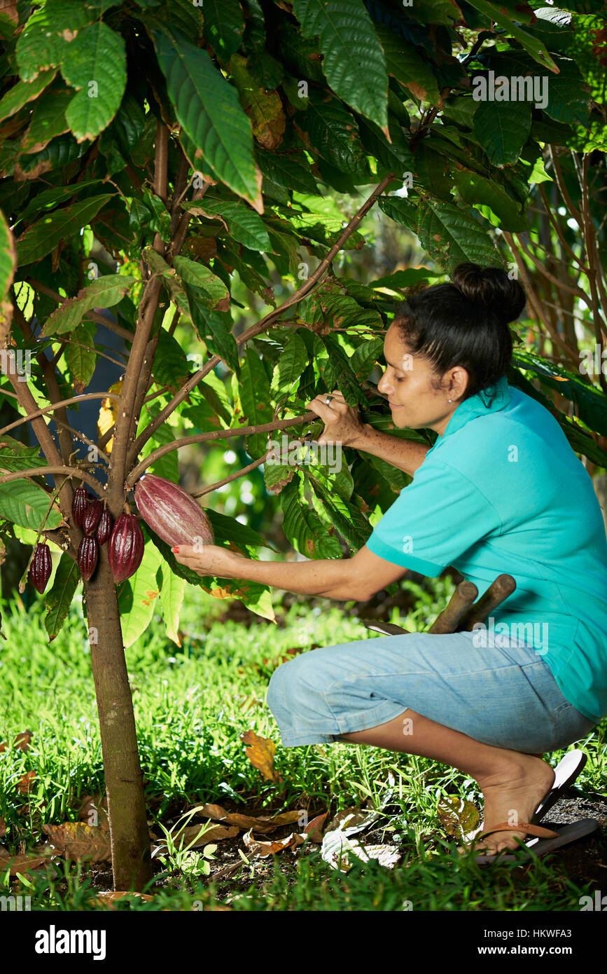 Hold on to tree hi-res stock photography and images - Alamy