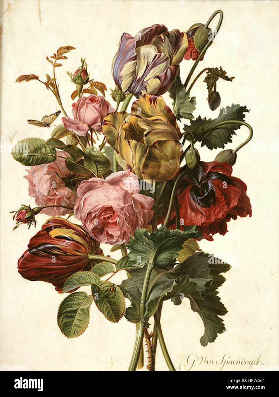 Gerard Van Spaendonck High Resolution Stock Photography and Images - Alamy