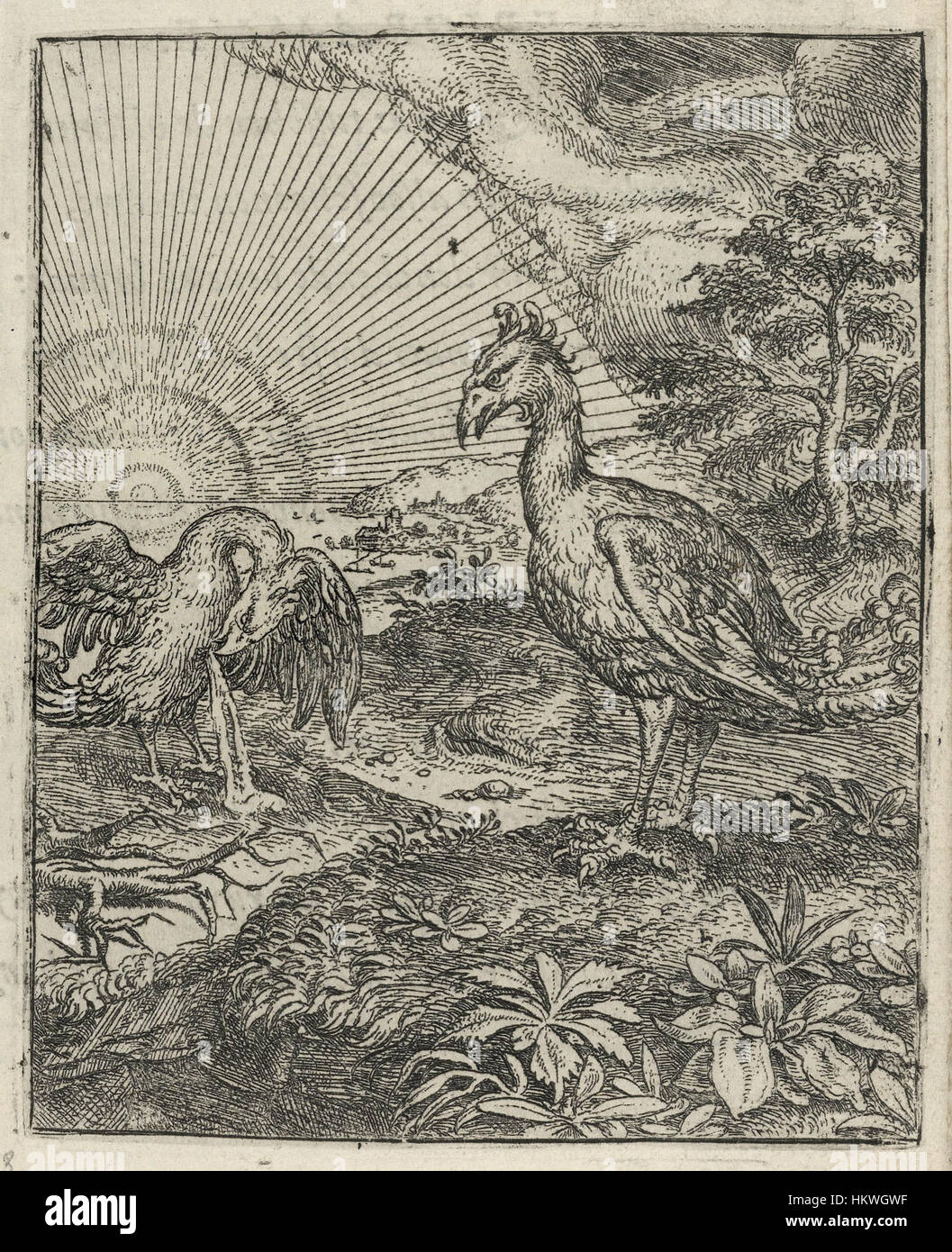 Gheeraert's painting 'The Phoenix' from 1568 illustrates the ...