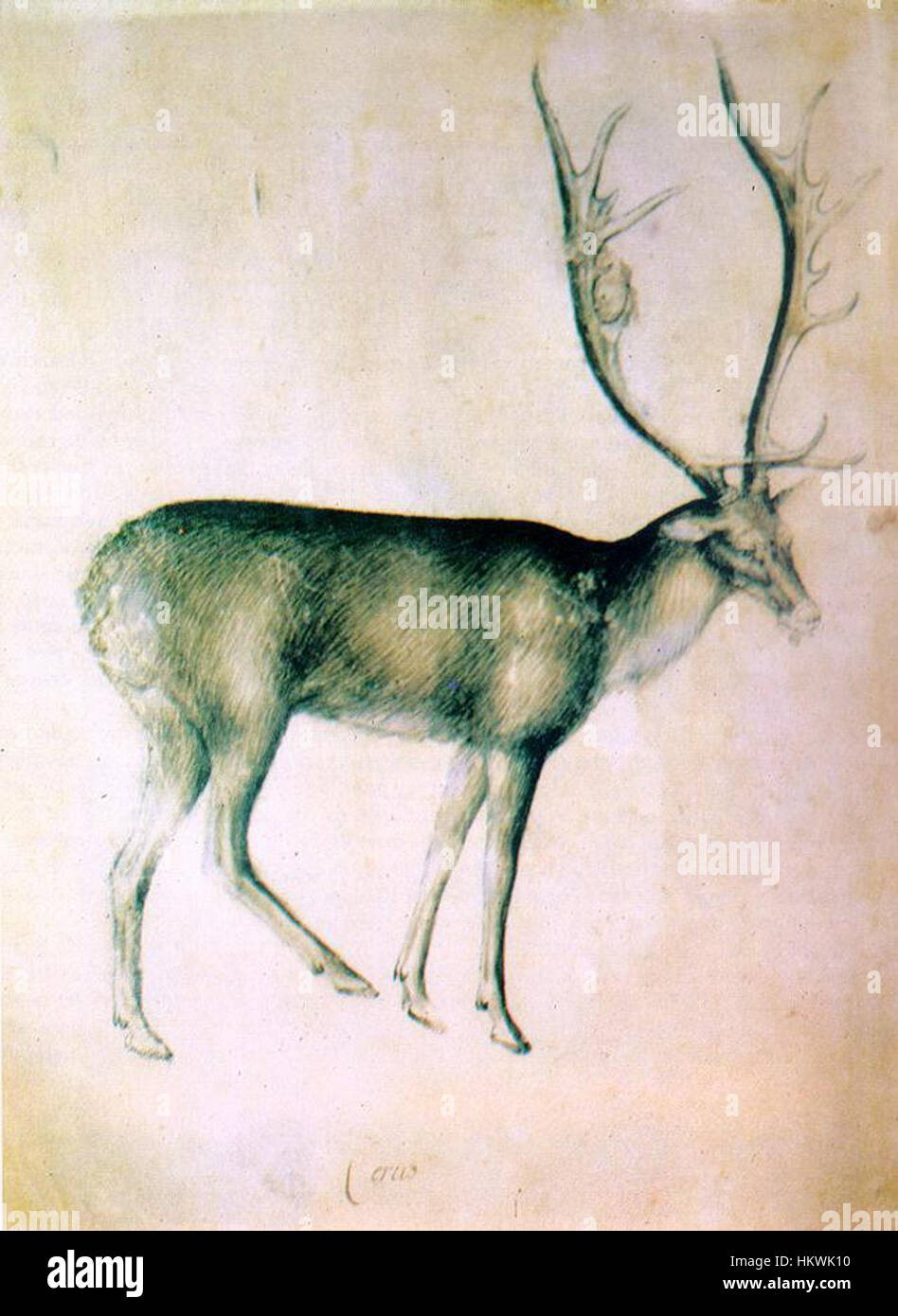 Giovannino de' Grassi's sketchbook includes a depiction of a stag ...
