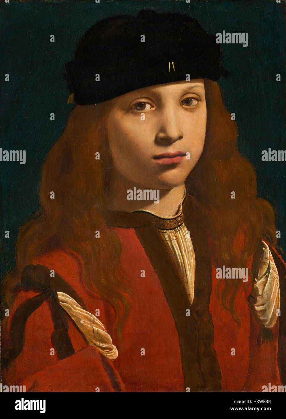 Leonardo da vinci as a young man hi-res stock photography and images ...