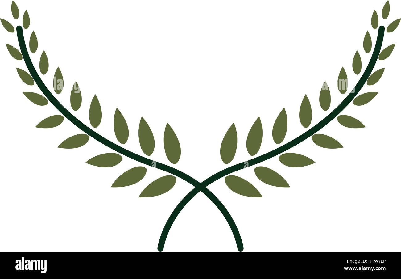 silhouette with crossed branchs with leaves vector illustration Stock ...