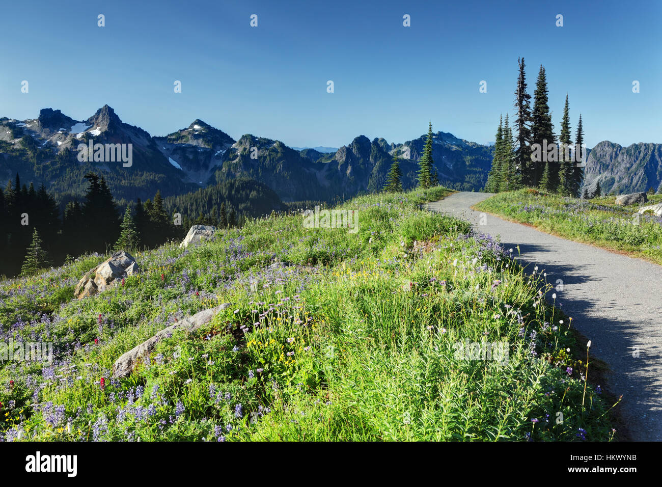 Tatoosh mountains hi-res stock photography and images - Alamy