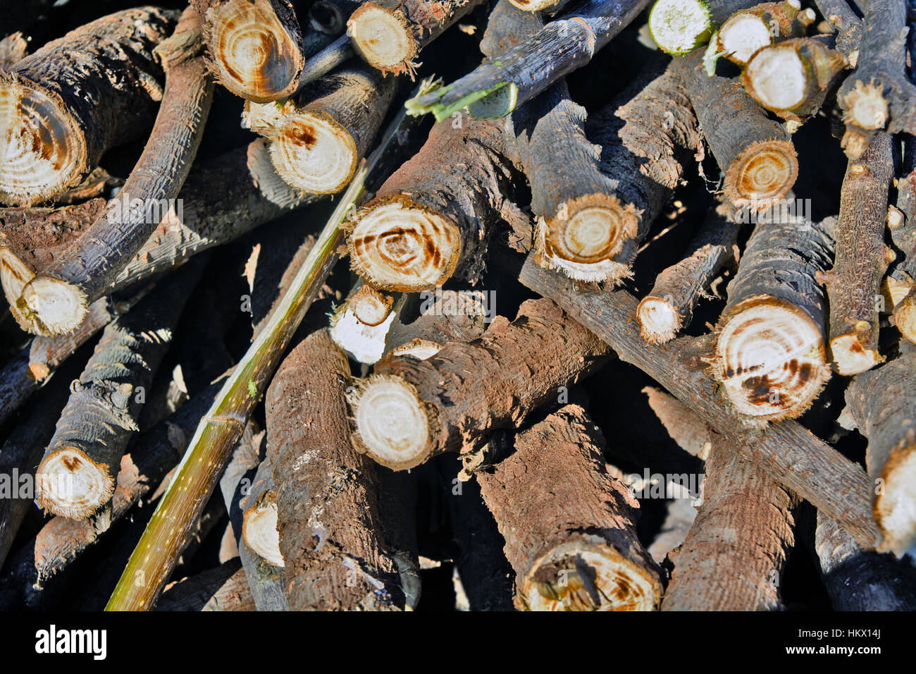 Small firewood cut and arranged in a wheelbarrow Stock Photo - Alamy
