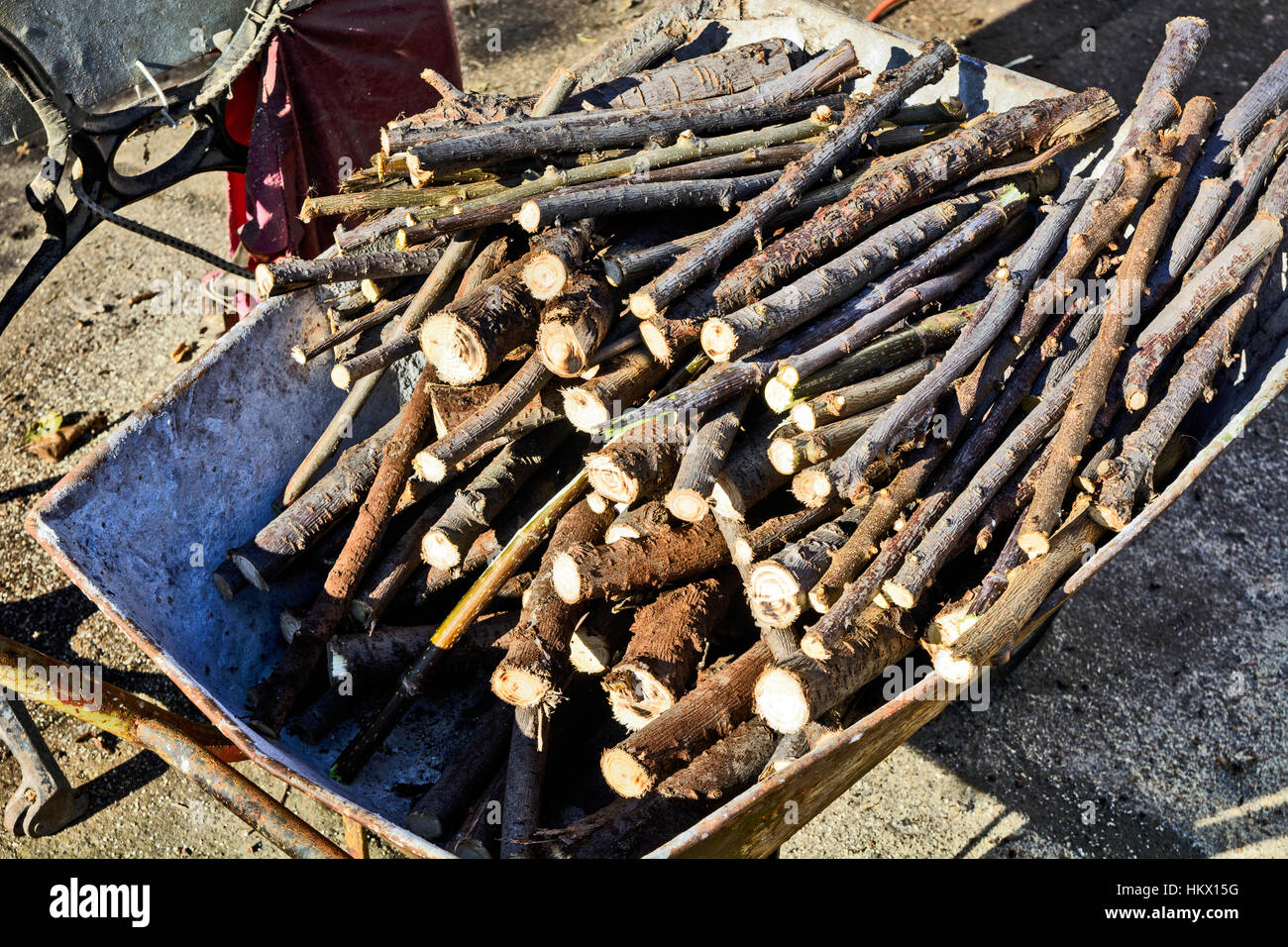Small firewood cut and arranged in a wheelbarrow Stock Photo - Alamy
