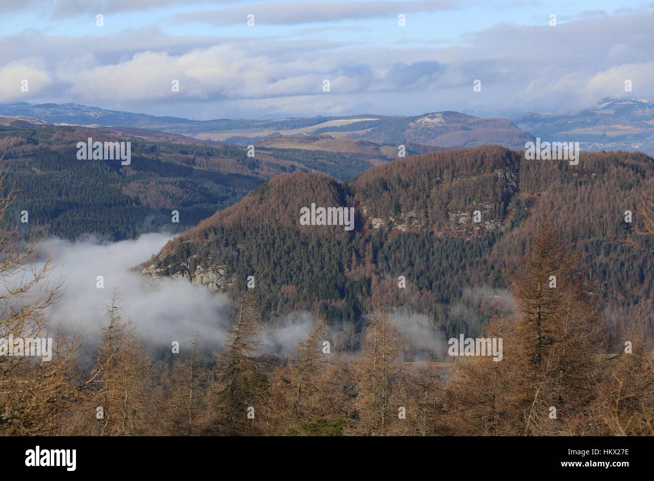 Birnam woods hi-res stock photography and images - Alamy