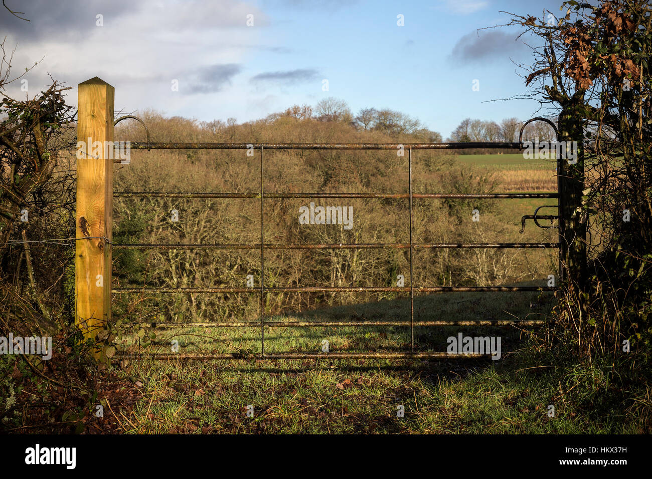 Holcombe Village High Resolution Stock Photography and Images - Alamy