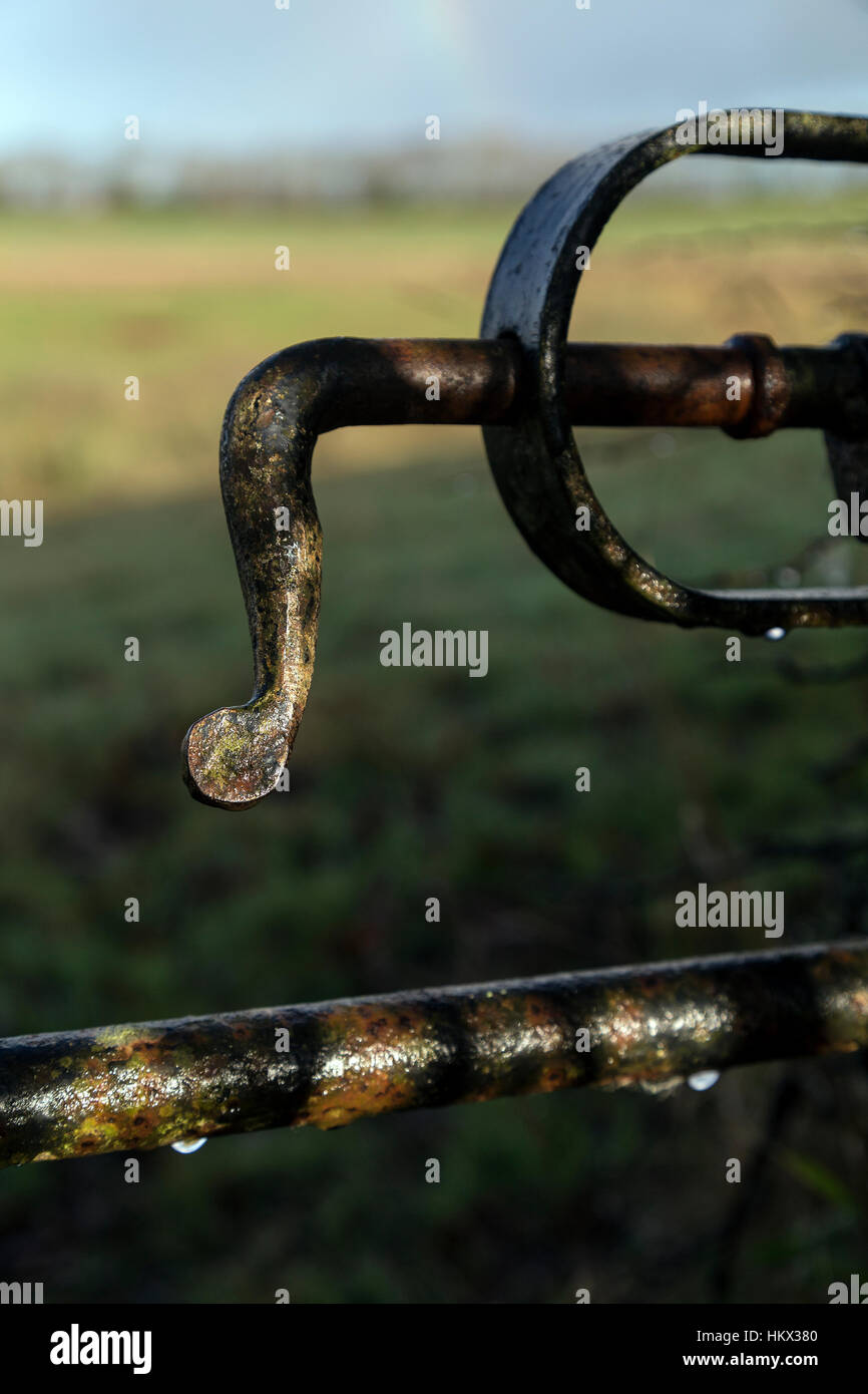 Old metal gate handle with Devon fields Stock Photo - Alamy