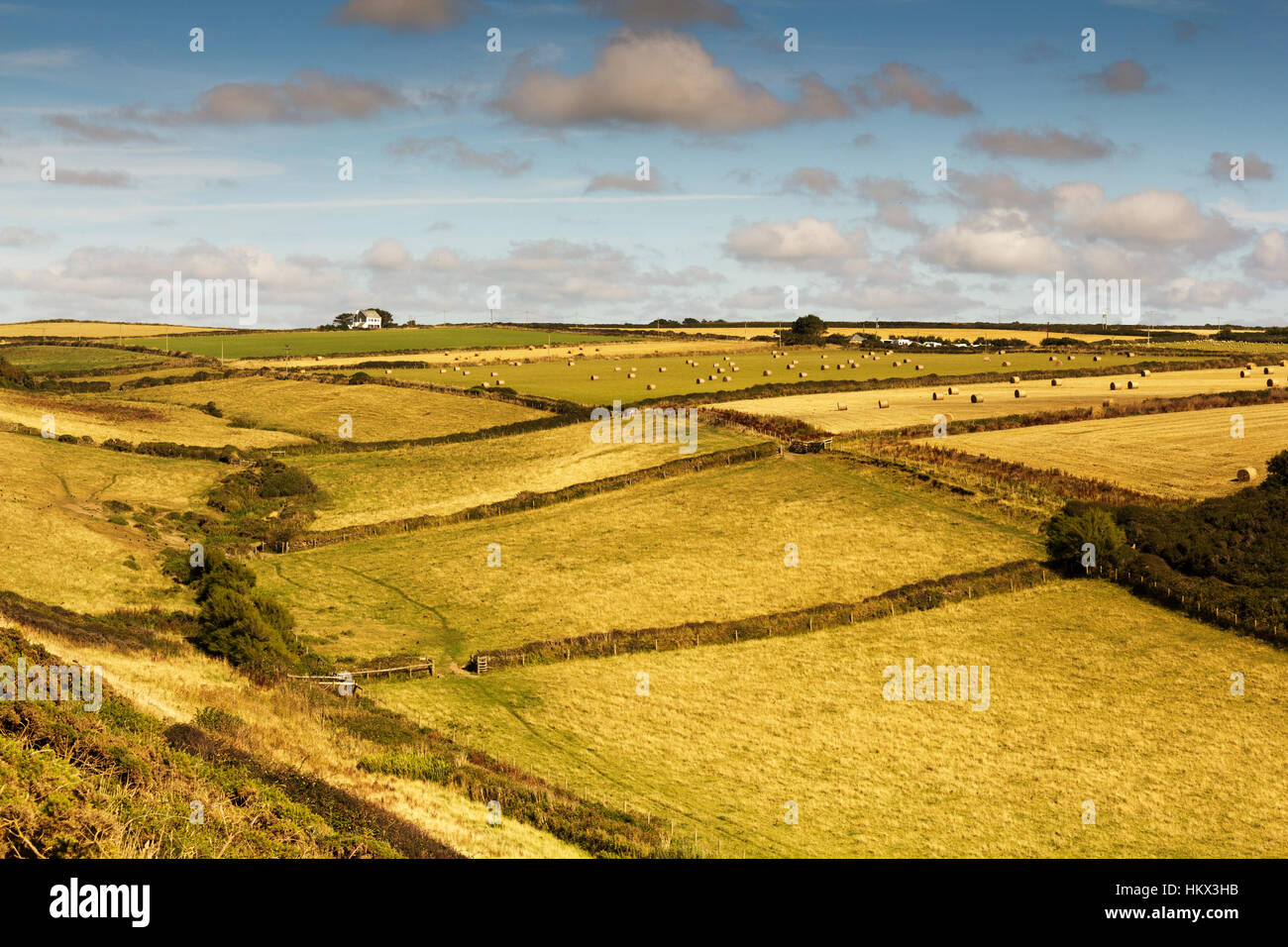 View from the costal path near Polzeath, Cornwall Stock Photo - Alamy