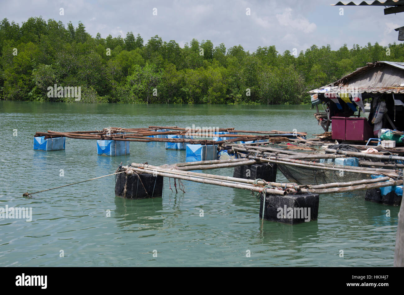 Aquaculture Fish Farming In Thailand High Resolution Stock Photography ...