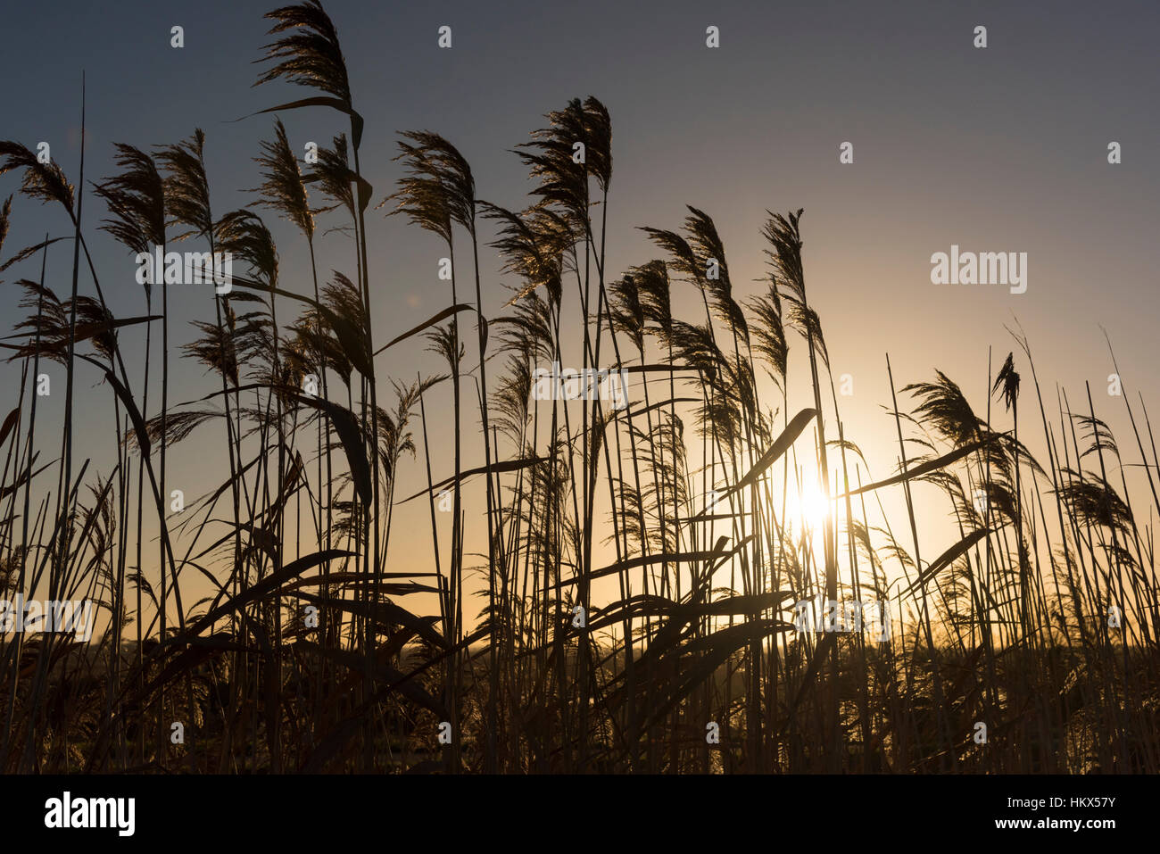 The fens uk landscapes hi-res stock photography and images - Alamy