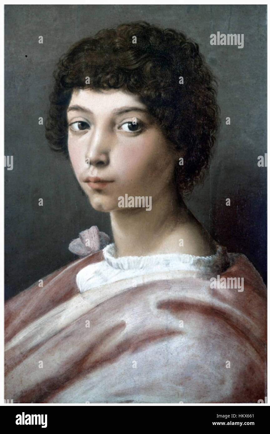 The artwork by Giulio Romano captures the essence of Renaissance art ...