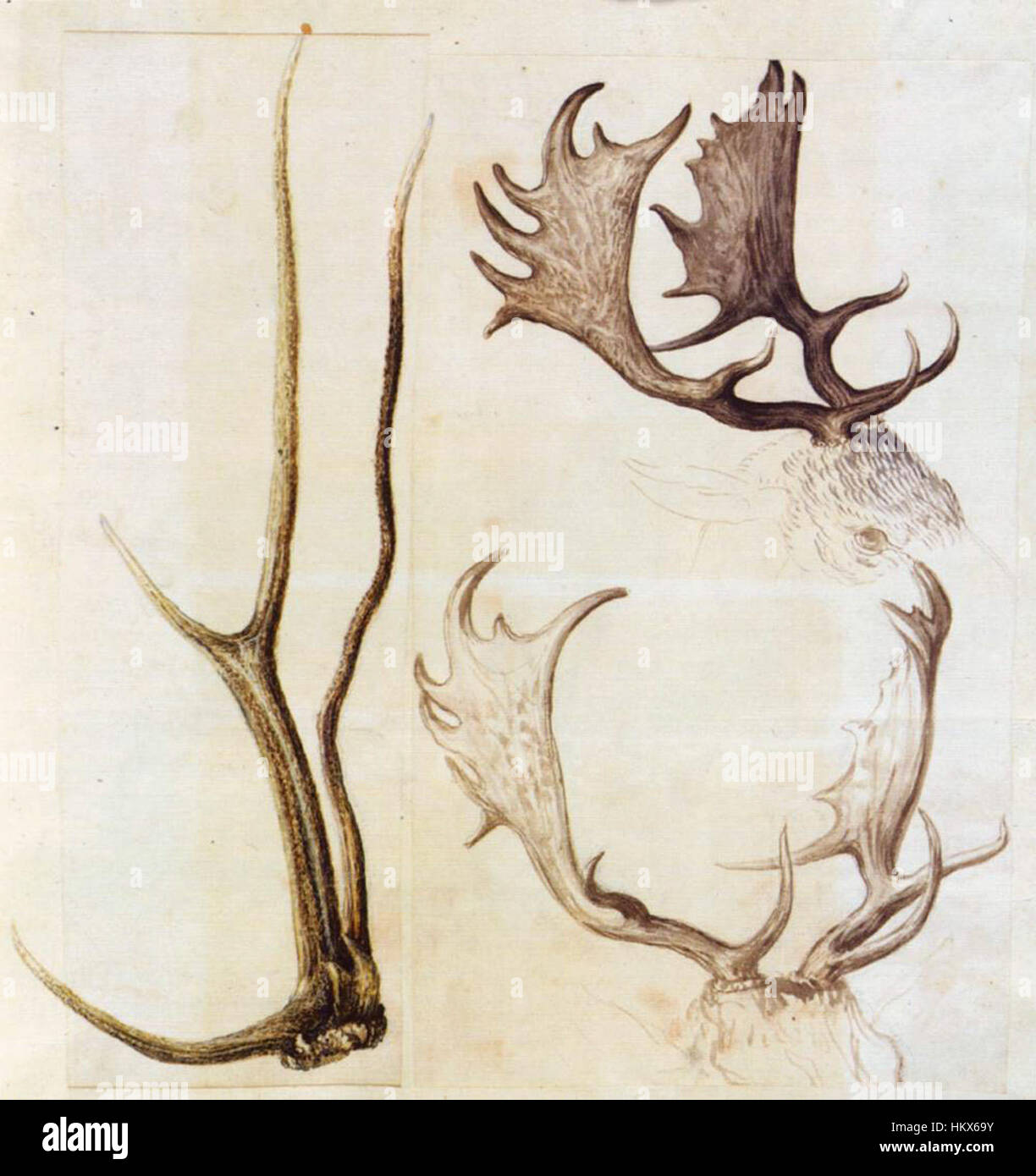 Giuseppe Arcimboldo's *Nature Studies* are a famous series of portraits ...