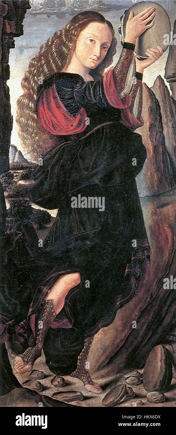 Musa Erato High Resolution Stock Photography and Images - Alamy