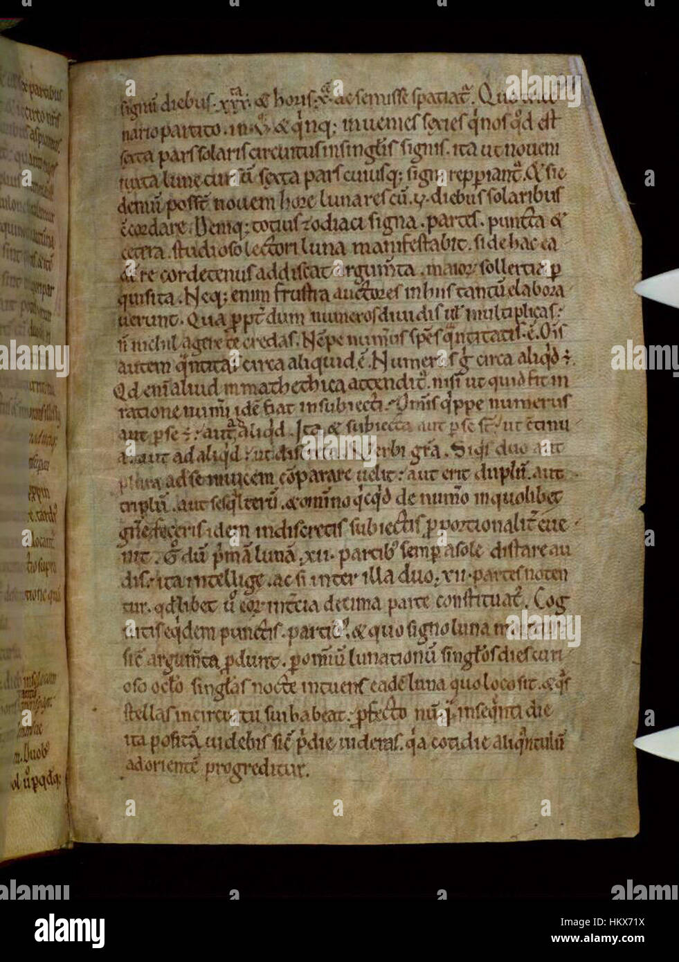 An illuminated manuscript page from the Bodleian Libraries, featuring ...