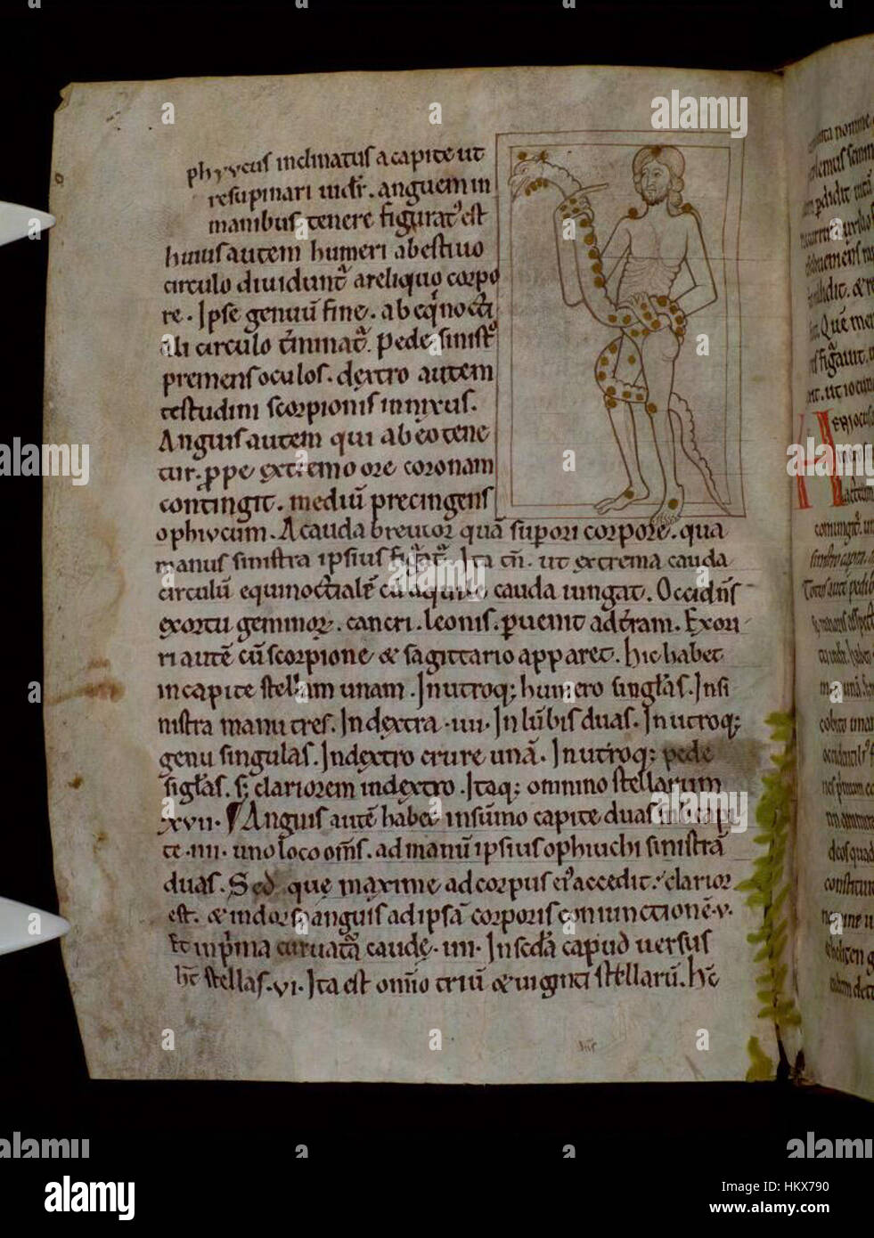 A manuscript page from the Bodleian Libraries, containing a medieval ...