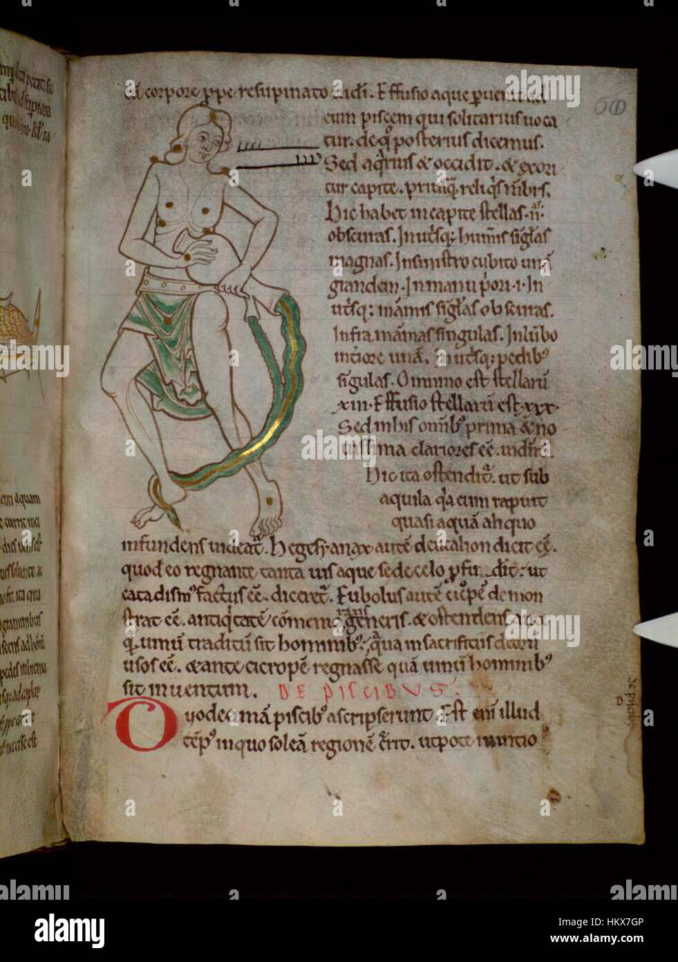 An illuminated manuscript from the Bodleian Libraries, featuring the ...