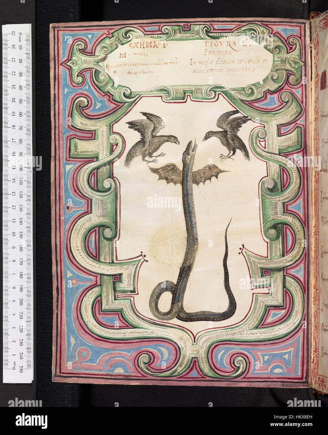 Oracula hi-res stock photography and images - Alamy