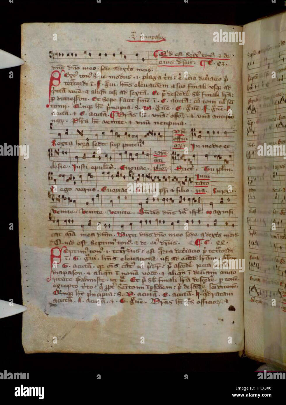 Folio 31v from the Bodleian Libraries' manuscript 'Quattuor principalia ...