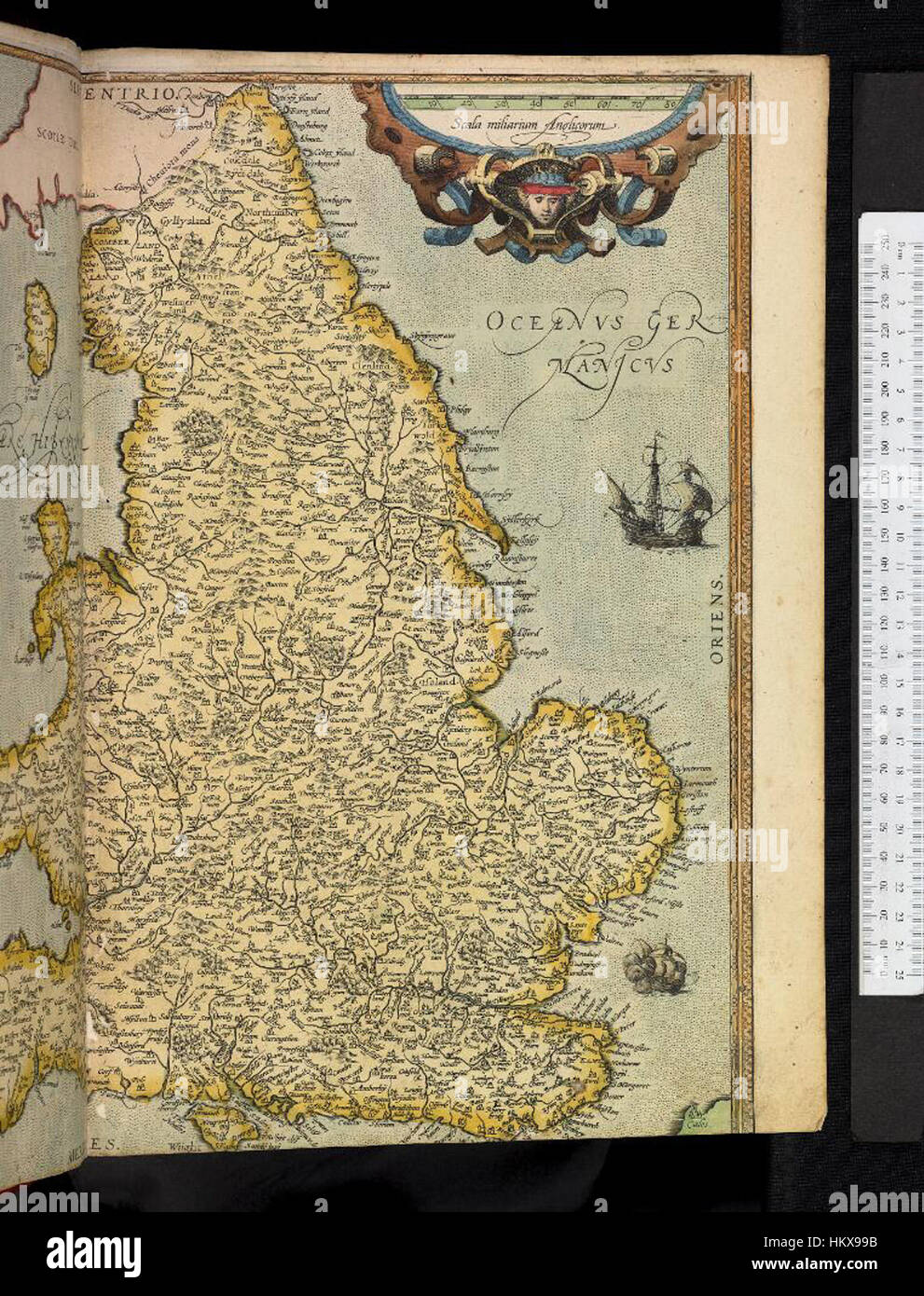 This image from the Bodleian Libraries’ collection showcases the ...