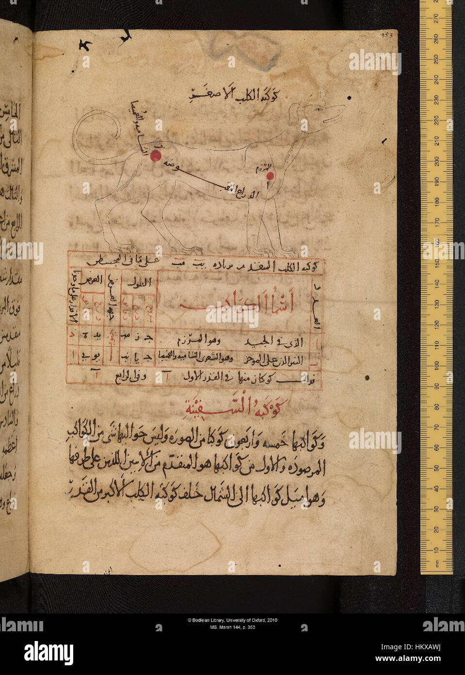 Book of the Fixed Stars Auv0361 Canis minor Stock Photo - Alamy