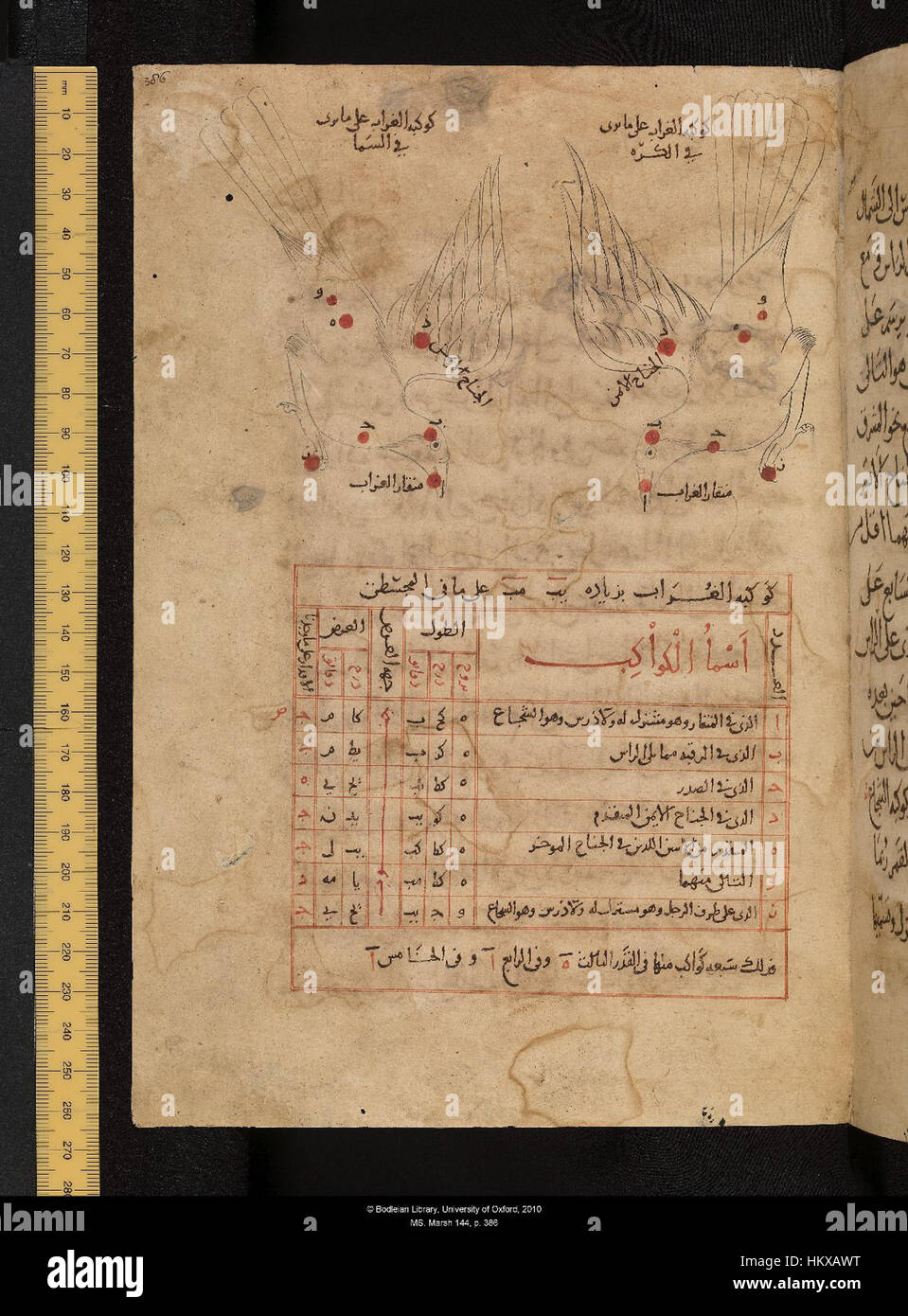 This artwork from the 'Book of the Fixed Stars' illustrates the Corvus ...