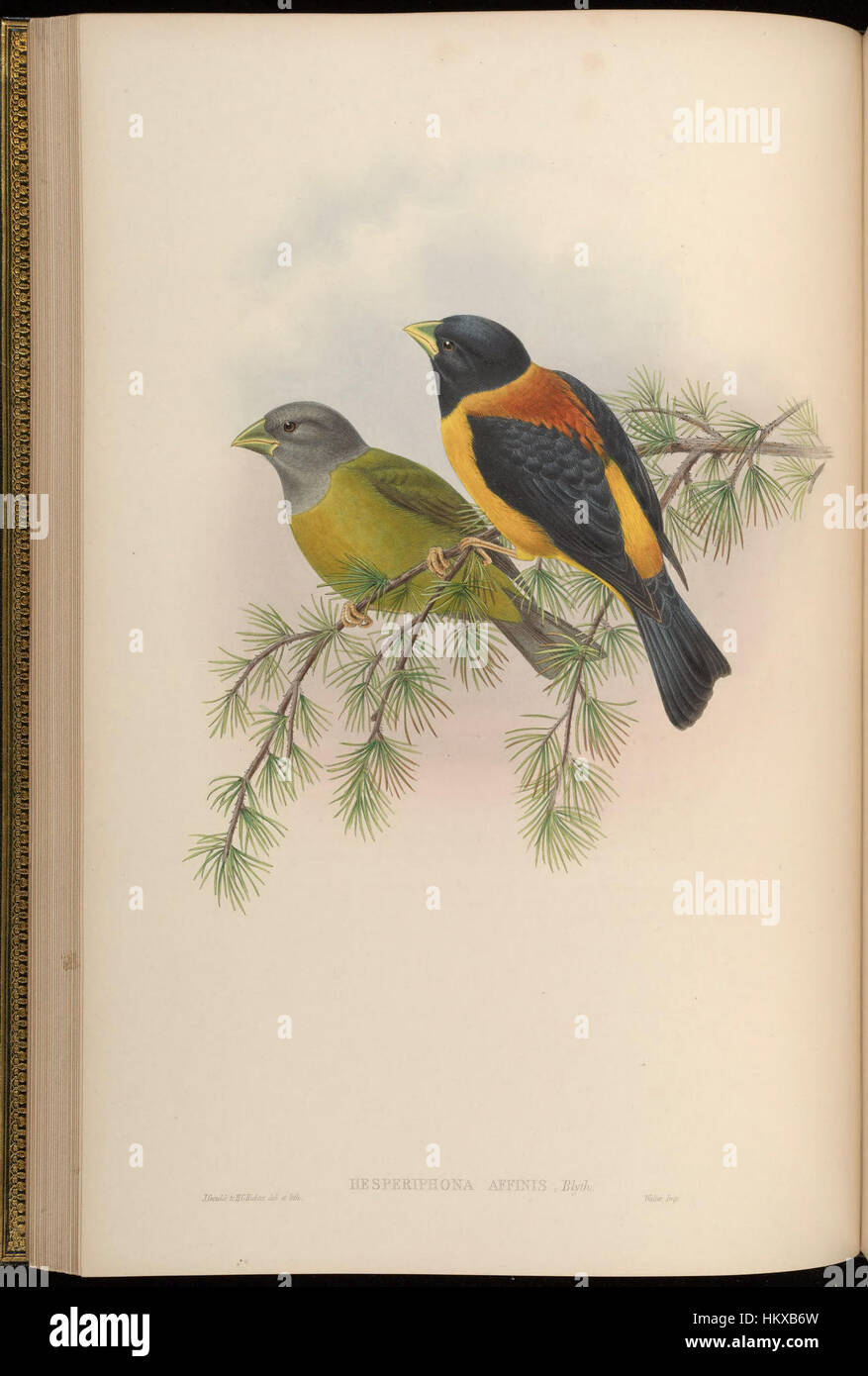 This painting depicts various birds native to Asia, created in the ...