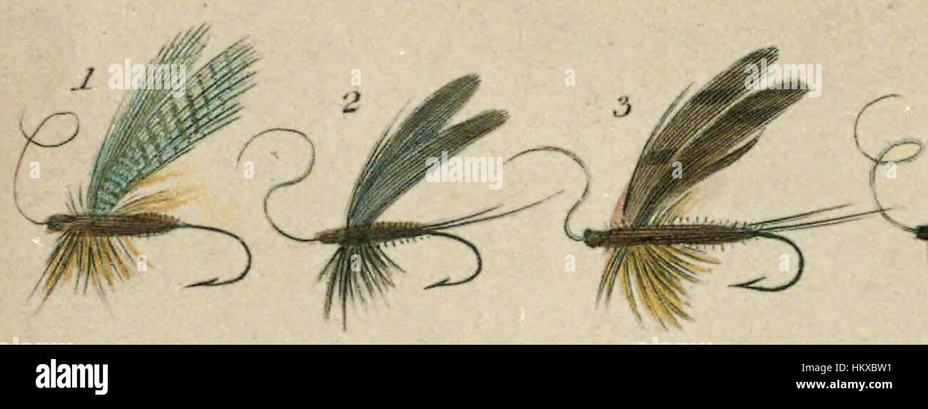 The frontispiece of 'Bowlker's Art of Angling' features mayflies ...