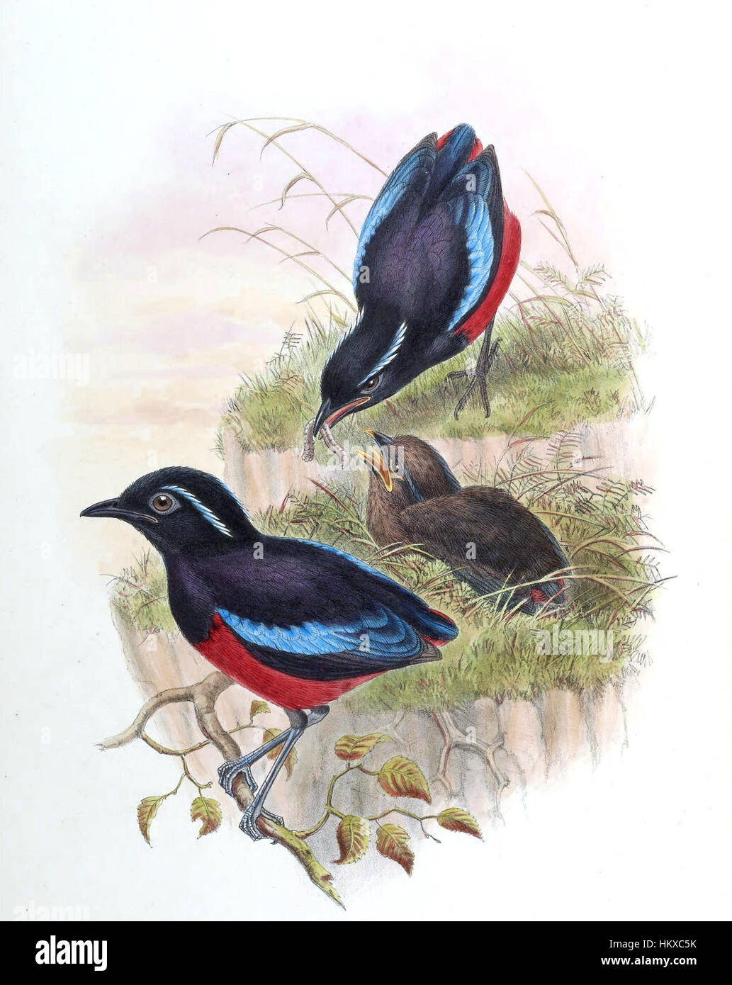 Asian lovers painting hi-res stock photography and images - Alamy