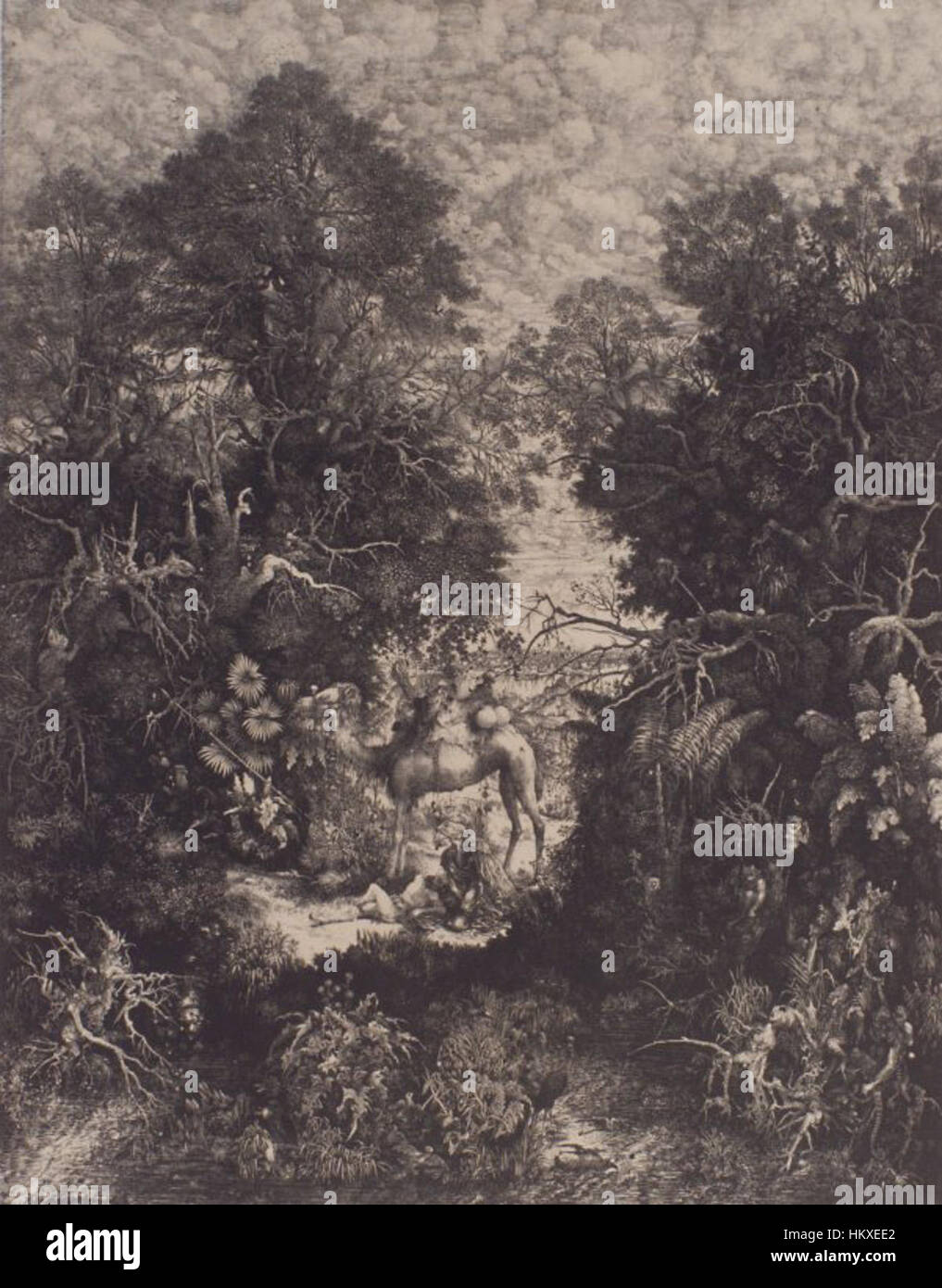 Rodolphe bresdin le bon hi-res stock photography and images - Alamy