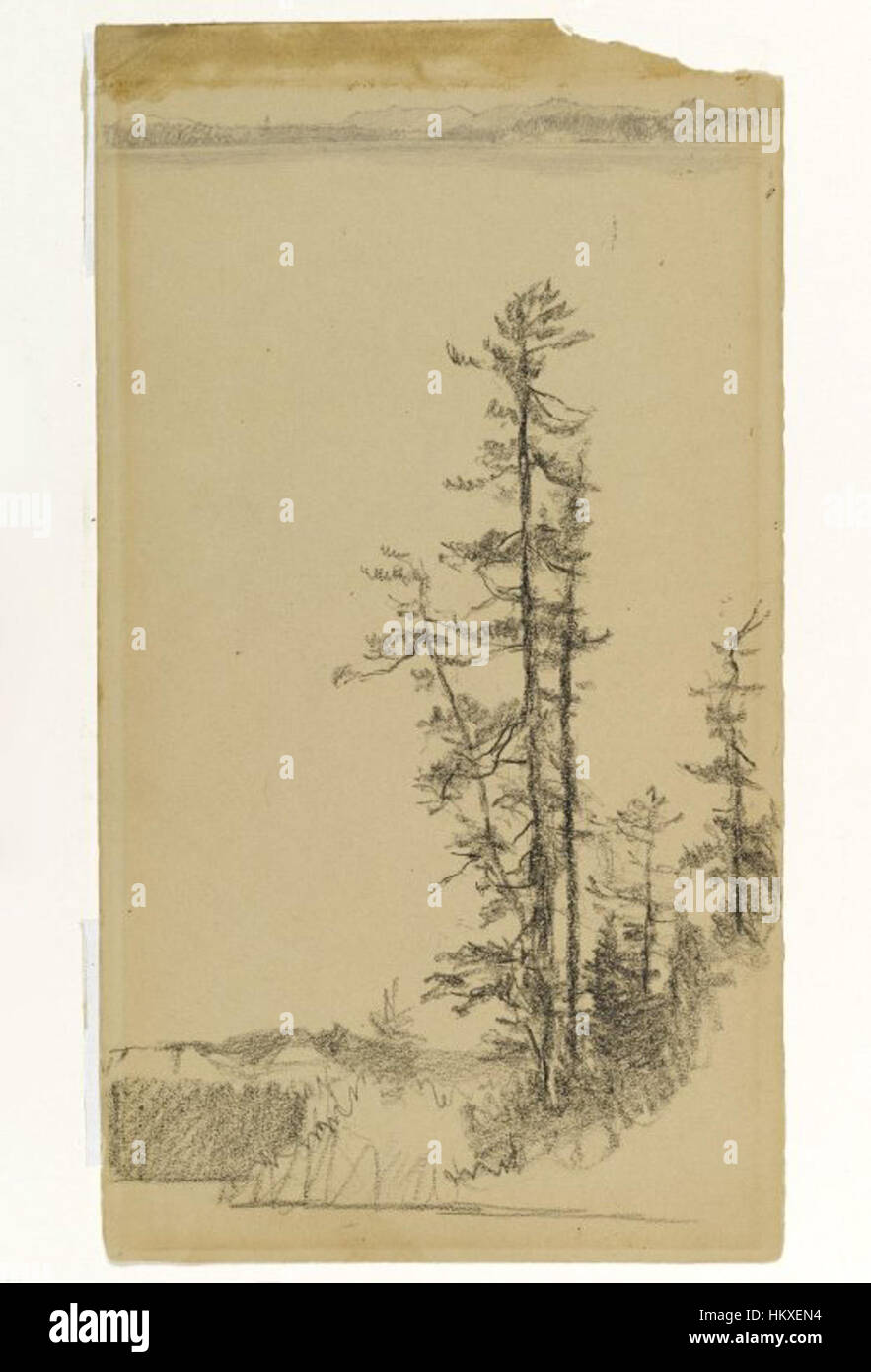 'Trees' by Homer Dodge Martin is a landscape painting displayed at the ...