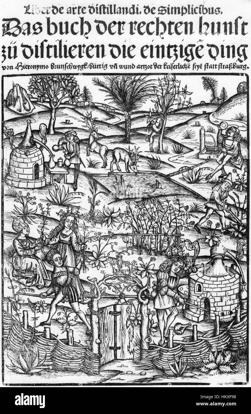 1500s hi-res stock photography and images - Alamy