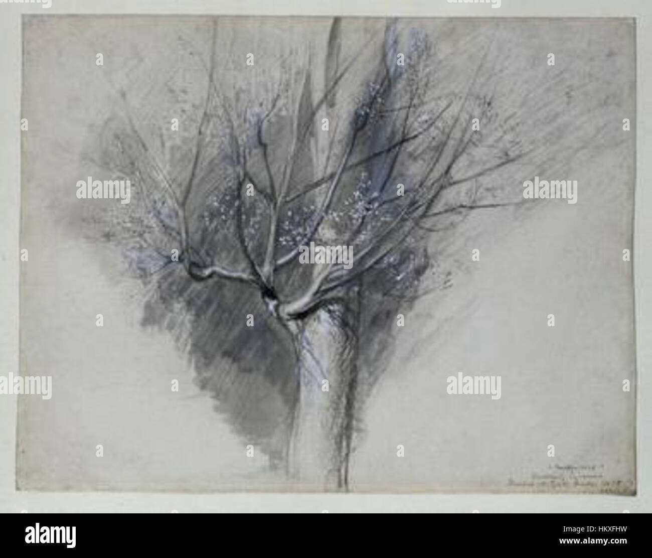 'Budding Sycamore' is a painting that captures the early stages of a ...