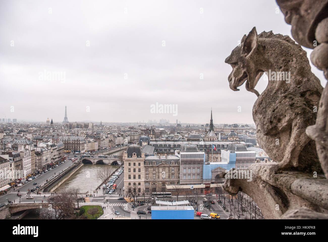 Famous Stone demons gargoyle and chimera with Paris city on background ...