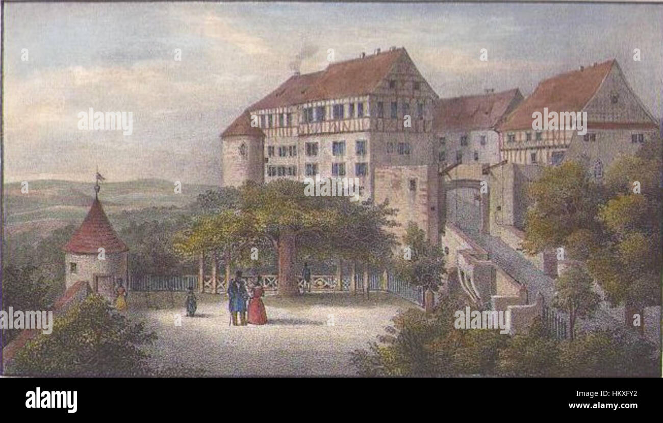 This *colored depiction of Burg Bodenstein* presents the historic ...