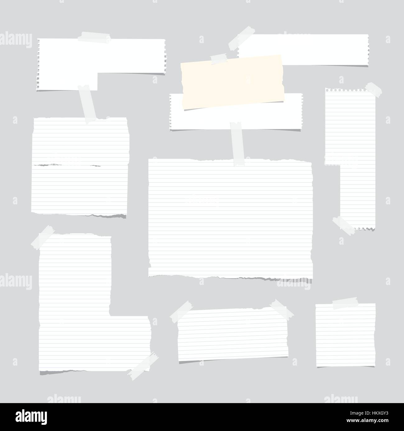 Ripped ruled note, notebook, copybook paper sheet, strips stuck with ...