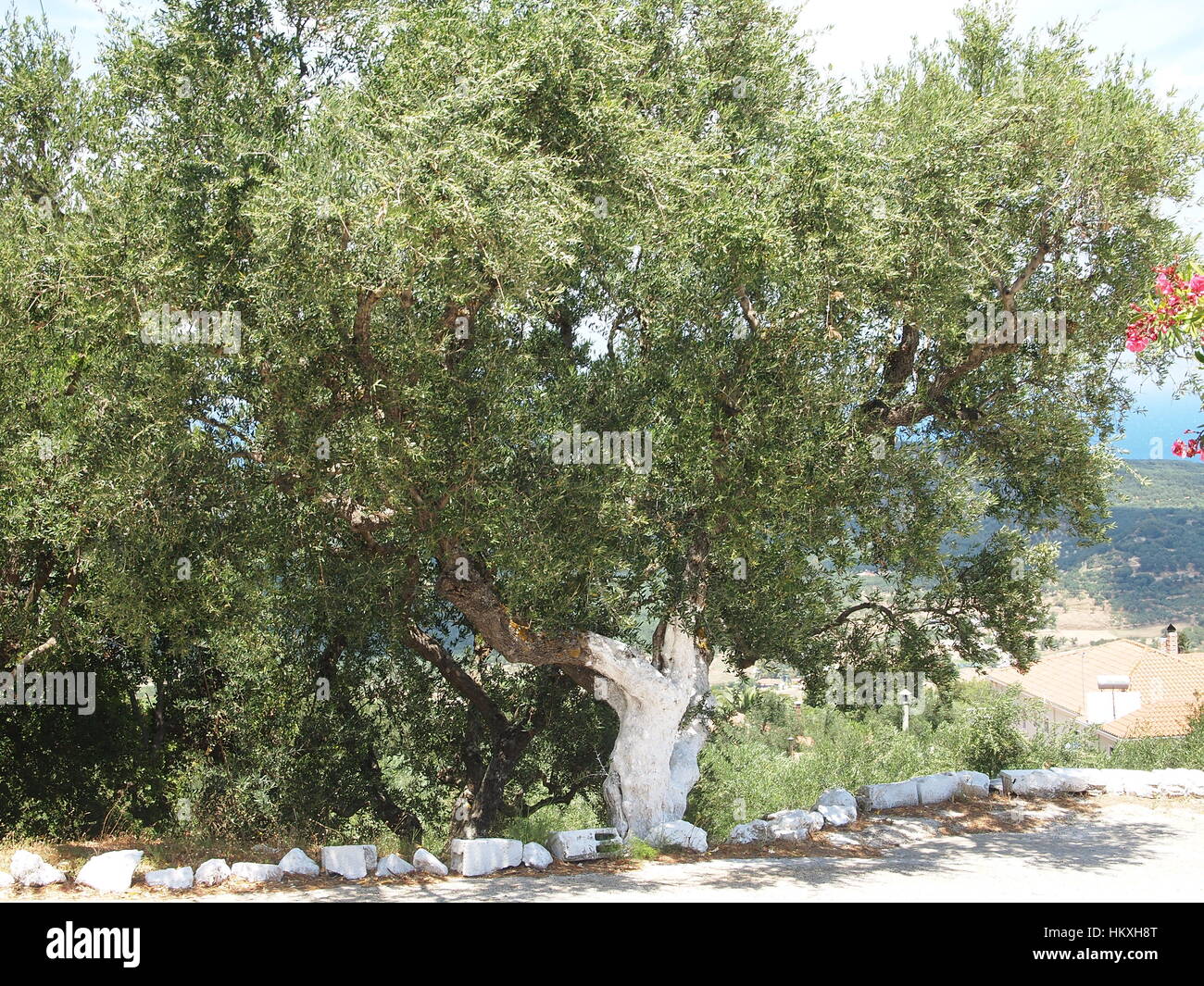 Villages zakynthos hi-res stock photography and images - Alamy